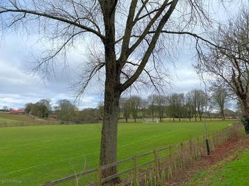 Dummer Down Farm, Basingstoke, Hampshire - Updated 2025 prices ...