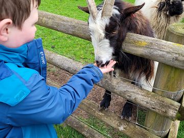 Red Lion Farm Touring Caravan Park, Stafford, Staffordshire - Updated ...