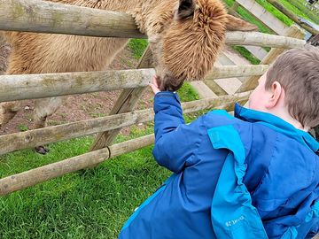 Red Lion Farm Touring Caravan Park, Stafford, Staffordshire - Updated ...