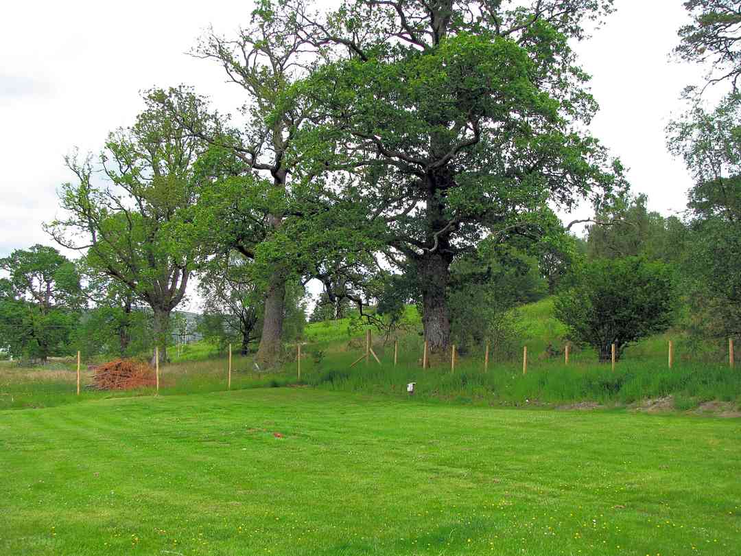 Sunart Camping, Strontian, Argyll | Pitchup.com