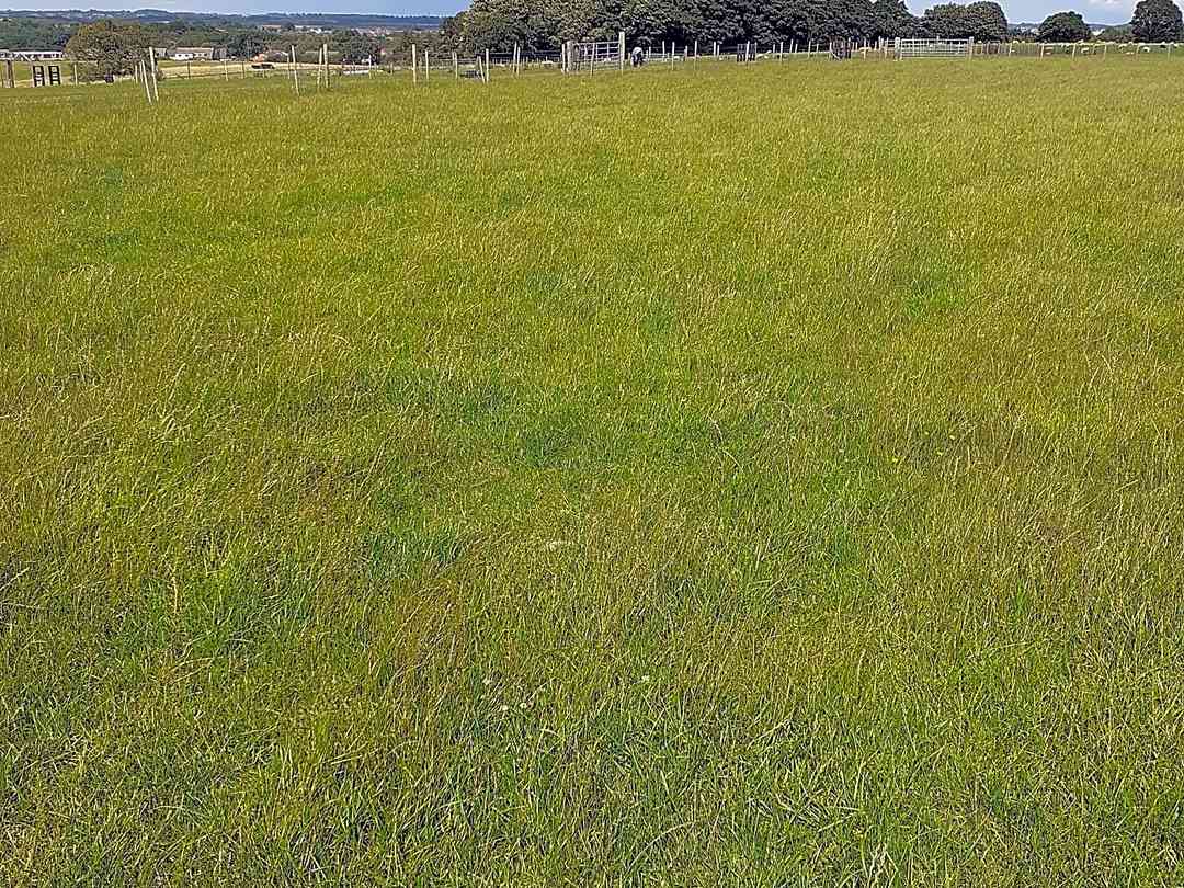 Swithens Farm, Rothwell, West Yorkshire | Pitchup.com