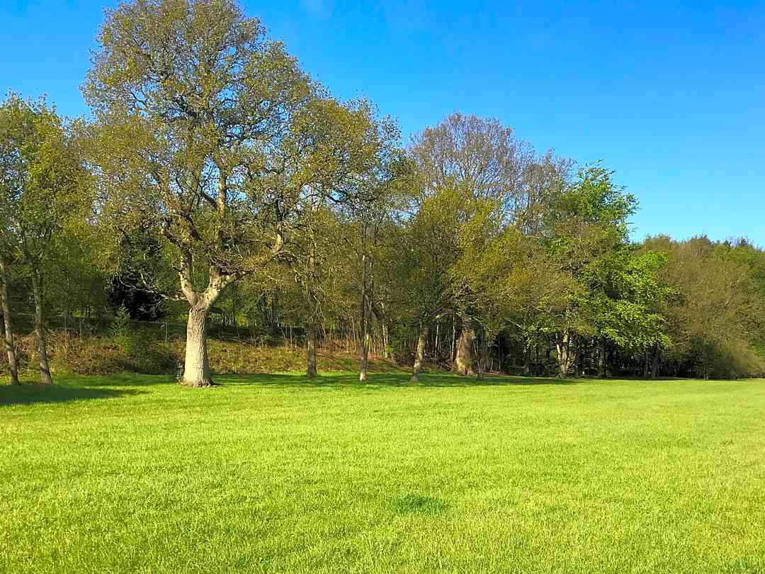 Pool Bridge Farm, York, North Yorkshire | Pitchup.com
