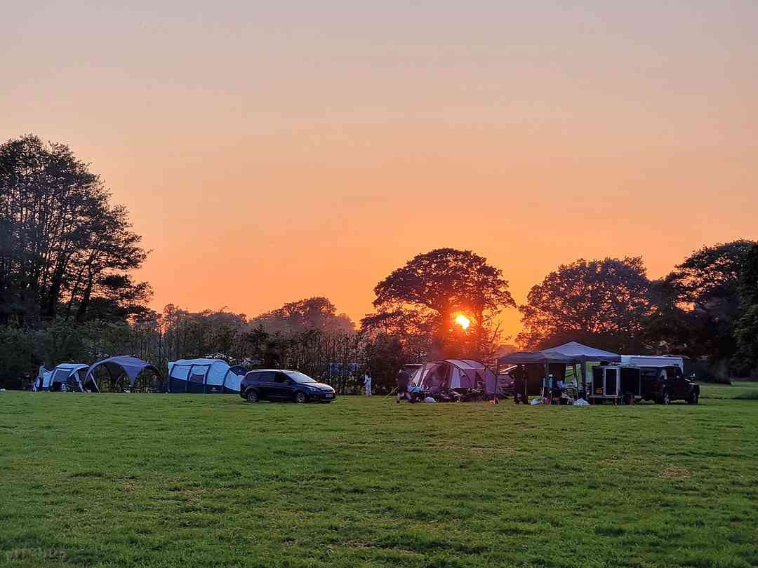 Snelling Farm Campsite, Wareham, Dorset | Pitchup.com