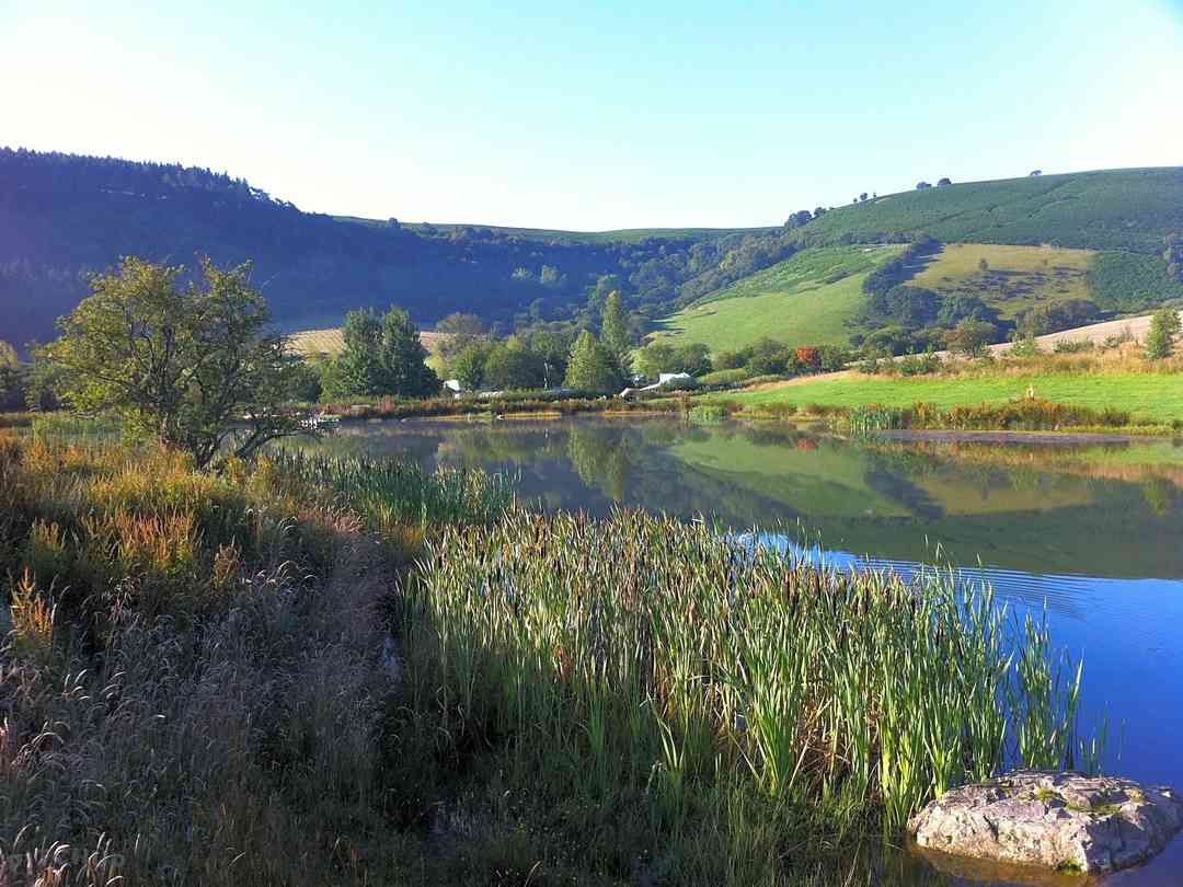 Fforest Fields Caravan and Camping Park, Builth Wells, Powys | Pitchup.com