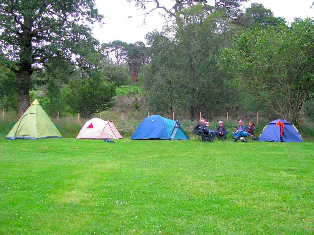 Sunart Camping, Strontian, Argyll | Pitchup.com