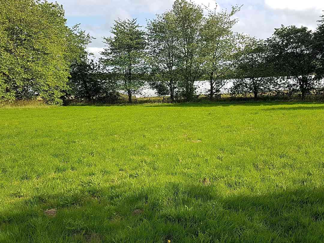 Woolton Farm, Canterbury, Kent - Updated 2026 prices | Pitchup.com