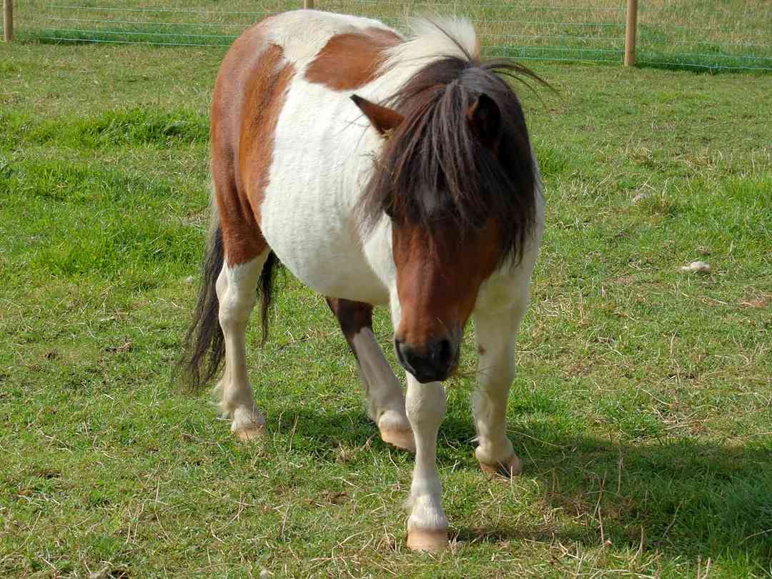 Swithens Farm, Rothwell, West Yorkshire | Pitchup.com