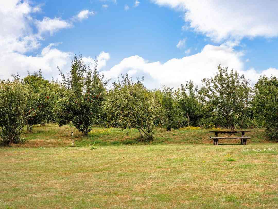 Grove Lock Caravan Park, Leighton Buzzard, Bedfordshire - Updated 2026 ...