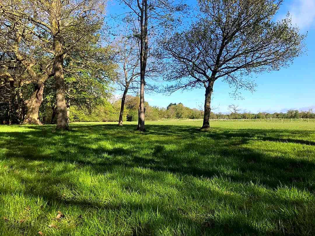 Pool Bridge Farm, York, North Yorkshire | Pitchup.com
