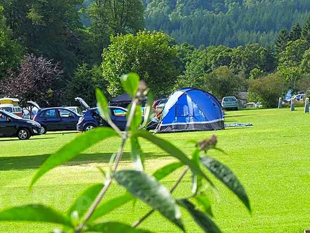 Faskally Caravan Park, Pitlochry, Perthshire | Pitchup.com