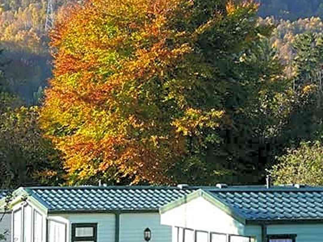 Faskally Caravan Park, Pitlochry, Perthshire | Pitchup.com
