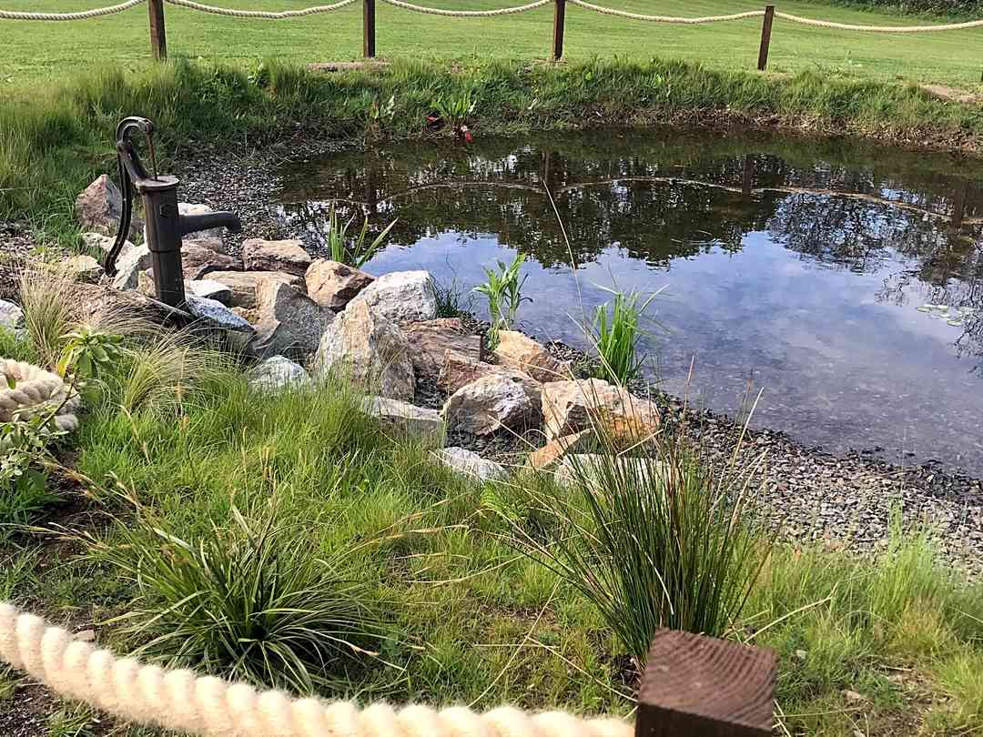 Orchard Springs Campsite, Bodmin, Cornwall - Updated 2025 prices ...