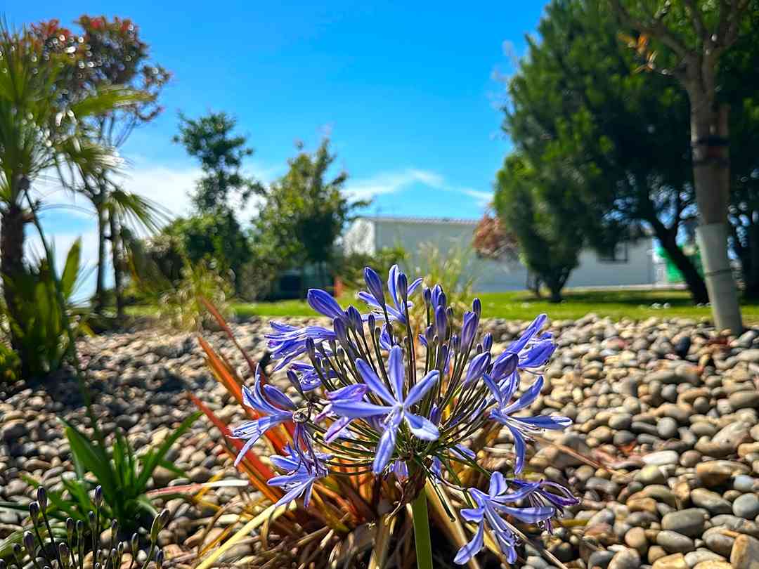 Trelay Holiday Park, Looe, Cornwall - Updated 2026 prices | Pitchup.com