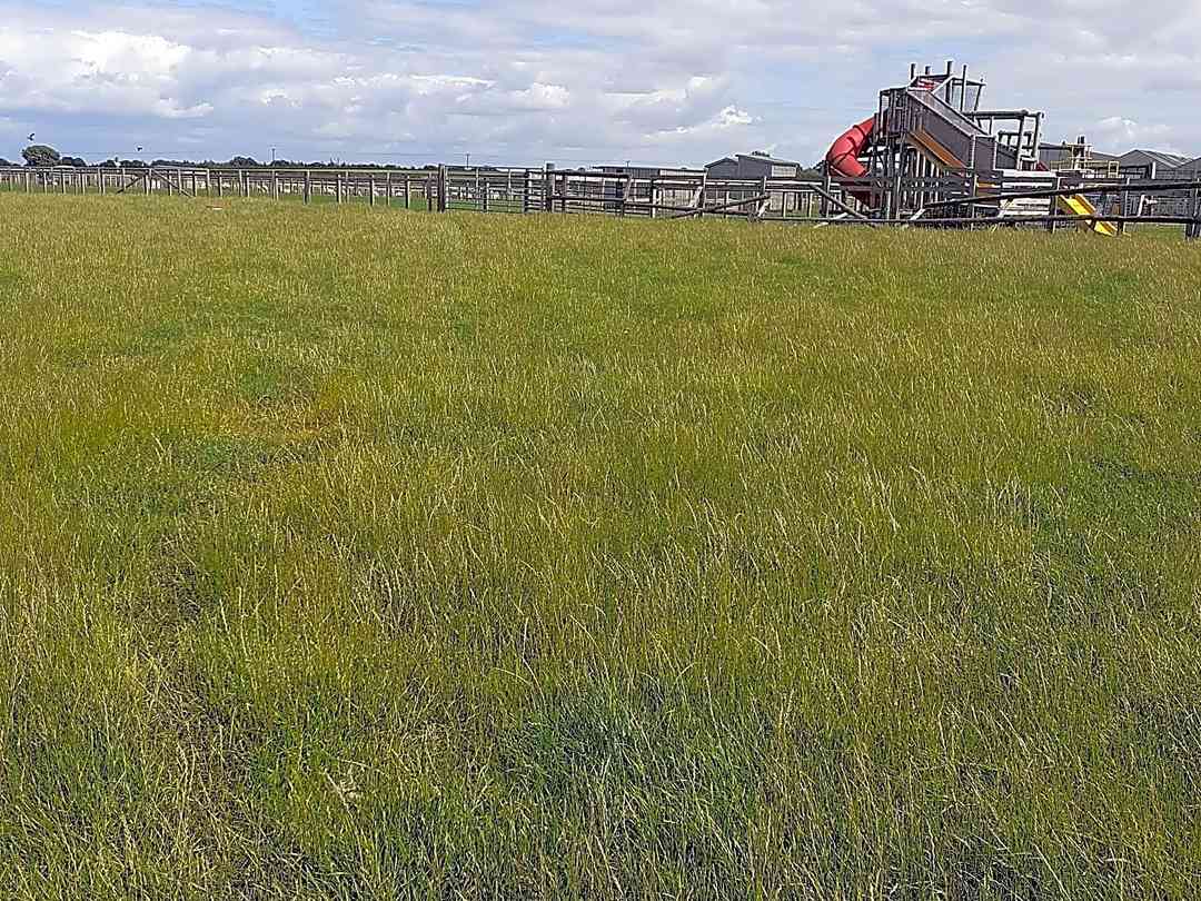 Swithens Farm, Rothwell, West Yorkshire | Pitchup.com