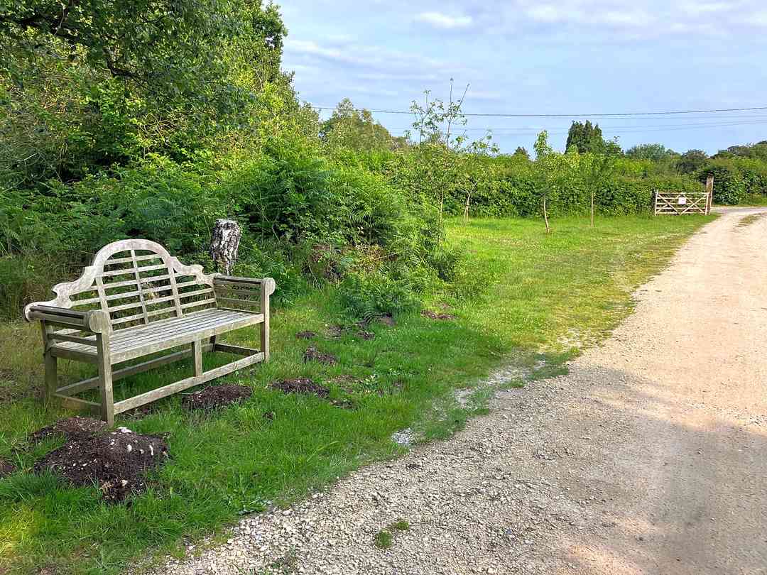 Primrose Fields, Wareham, Dorset - Updated 2026 prices | Pitchup.com