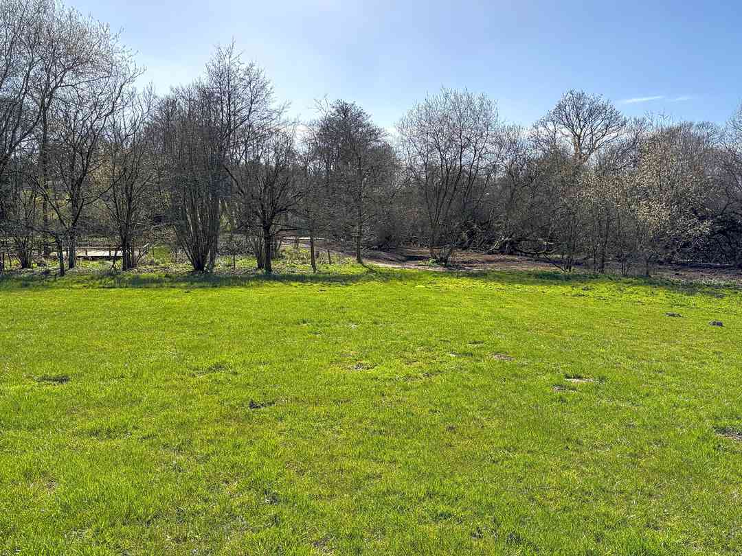 Riverside Lakes, Wimborne, Dorset - Updated 2026 prices | Pitchup.com