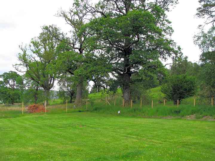 Sunart Camping, Strontian, Argyll | Pitchup.com