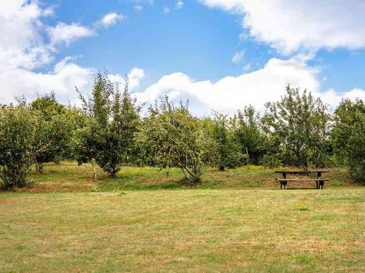 Grove Lock Caravan Park, Leighton Buzzard, Bedfordshire - Updated 2026 ...