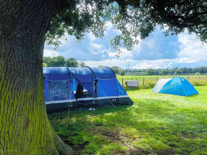 Beech Farm, York, North Yorkshire - Updated 2026 prices | Pitchup.com