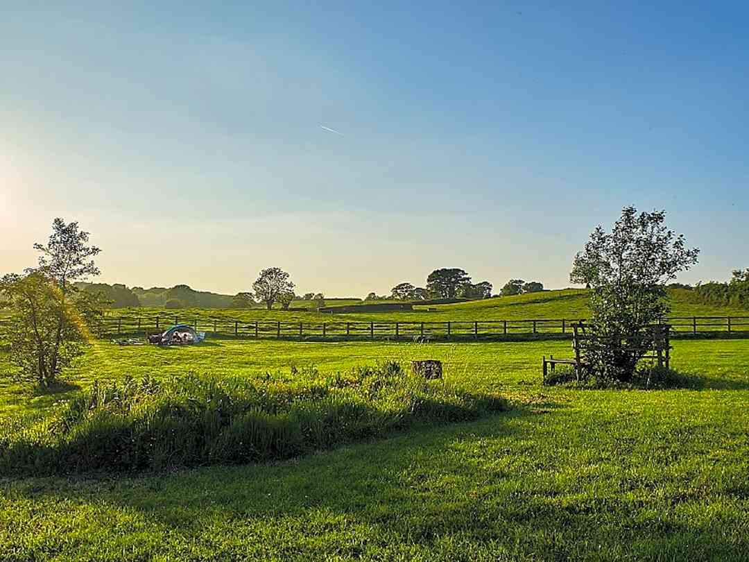 Walnut Tree Farm, Bristol - Updated 2020 prices - Pitchup®