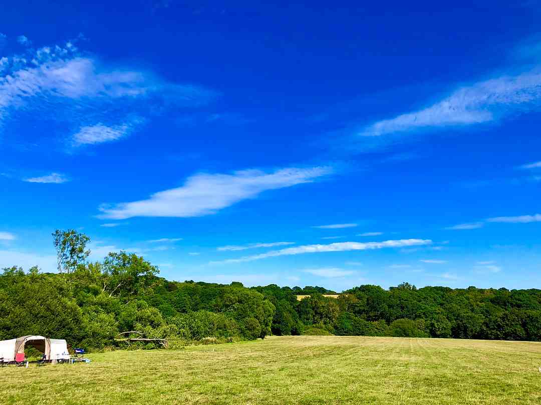 Hale Farm Campsite, Chiddingly - Updated 2024 prices | Pitchup.com