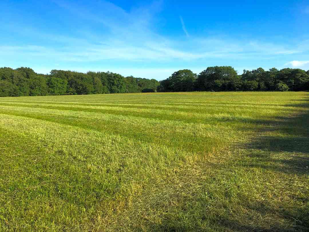 Hale Farm Campsite, Chiddingly - Updated 2021 prices - Pitchup®