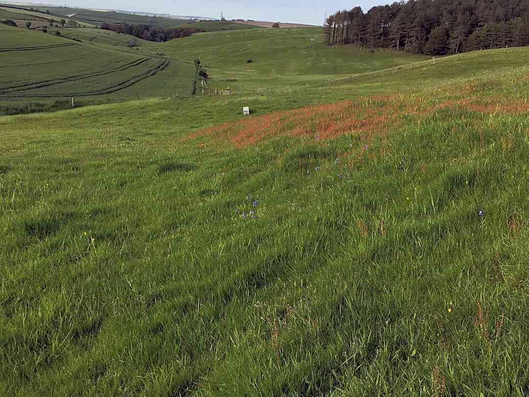 Campsites in Weymouth, Dorset 2022 from £10/nt - Pitchup