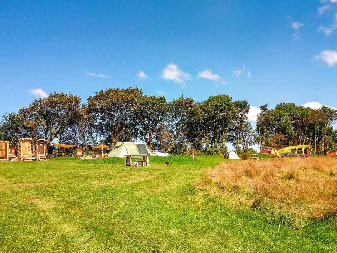 The Top Field on a busy day (photo added by manager on 11/10/2022)