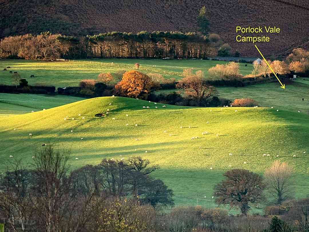View of Porlock Vale Campsite (see arrow to field) at Holt Ball Farm ...