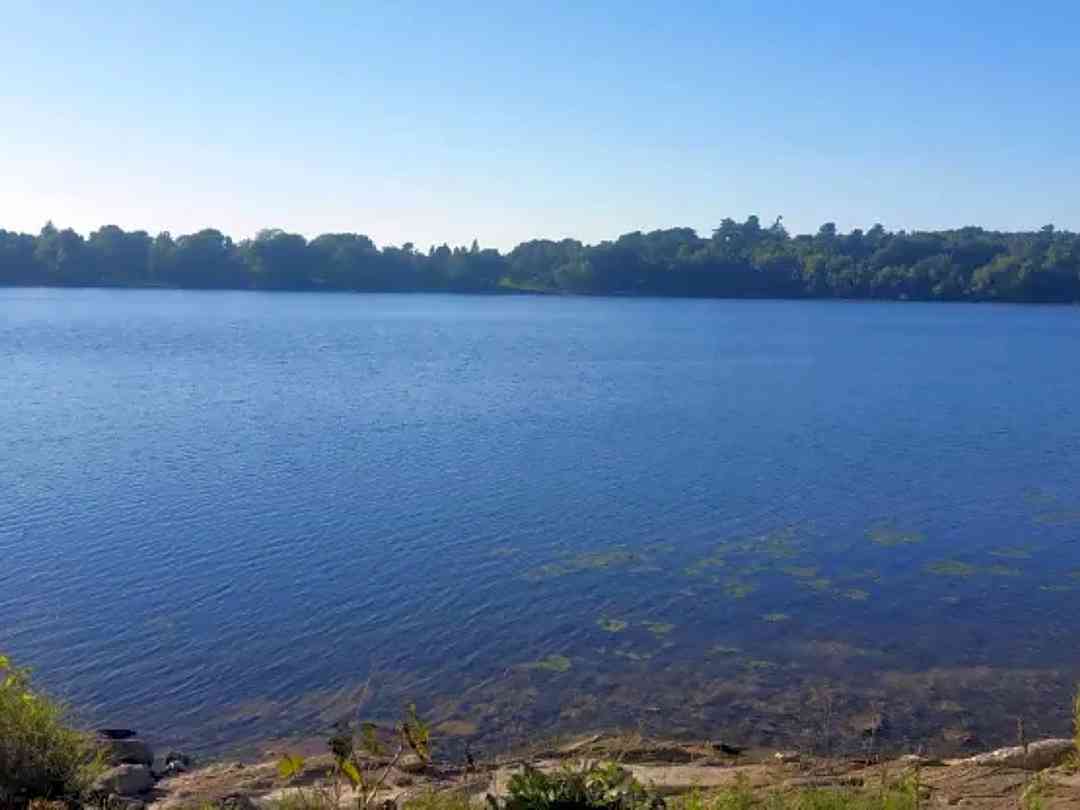 The Smart Ass, Lyndhurst - Aktualizované ceny pro rok 2023 | Pitchup.com