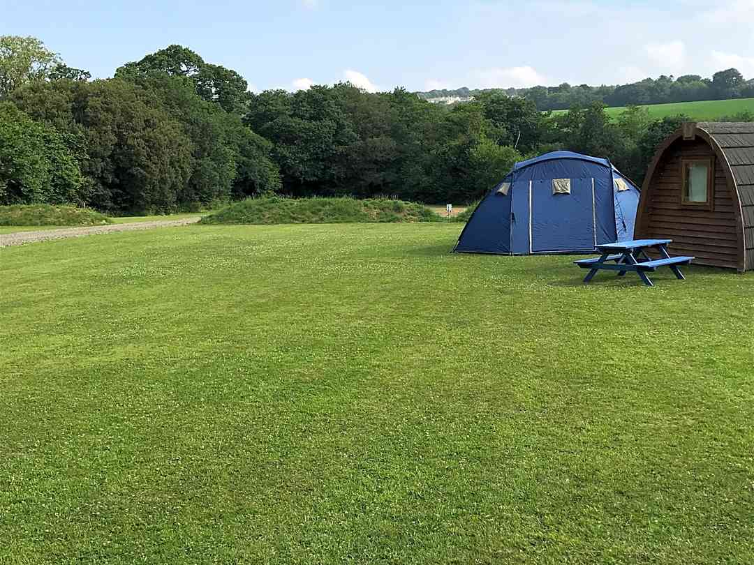 Orchard Springs Campsite, Bodmin - Updated 2020 prices - Pitchup®