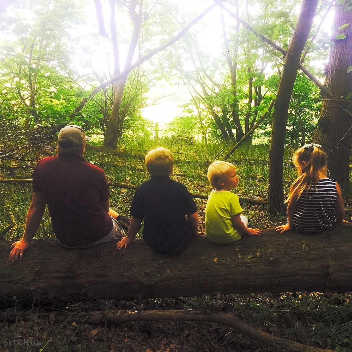 Oak Valley Camping, Rye - Pitchup®