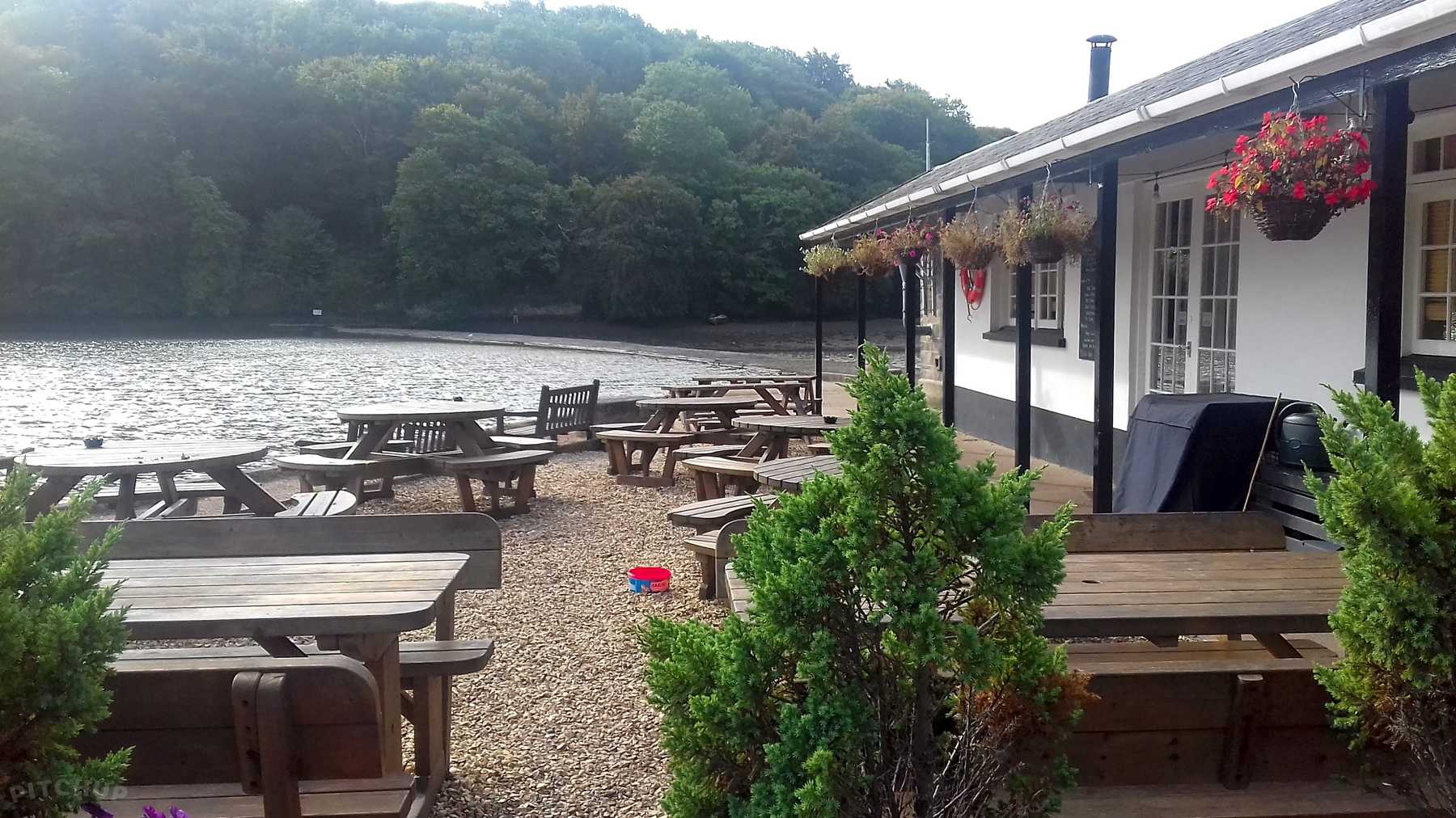 Whitehill Country Park, Paignton - Updated 2020 prices - Pitchup®