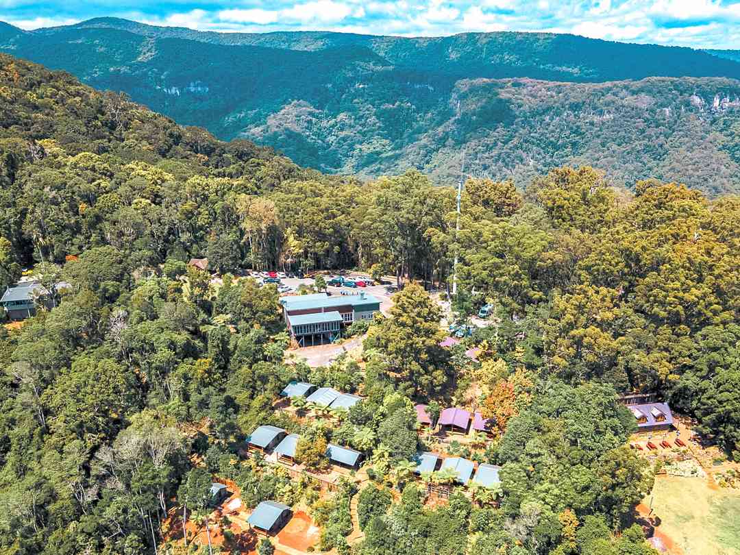 Binna Burra Campground, Beechmont - Updated 2023 prices - Pitchup®