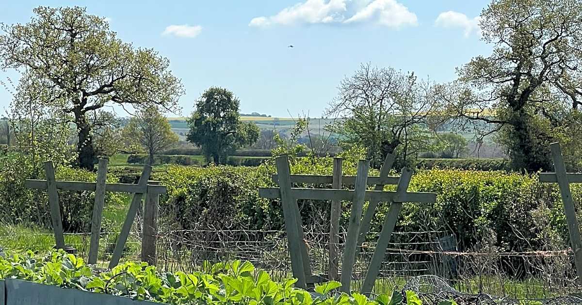 Daisy's Farm, Swindon - Updated 2024 prices | Pitchup.com