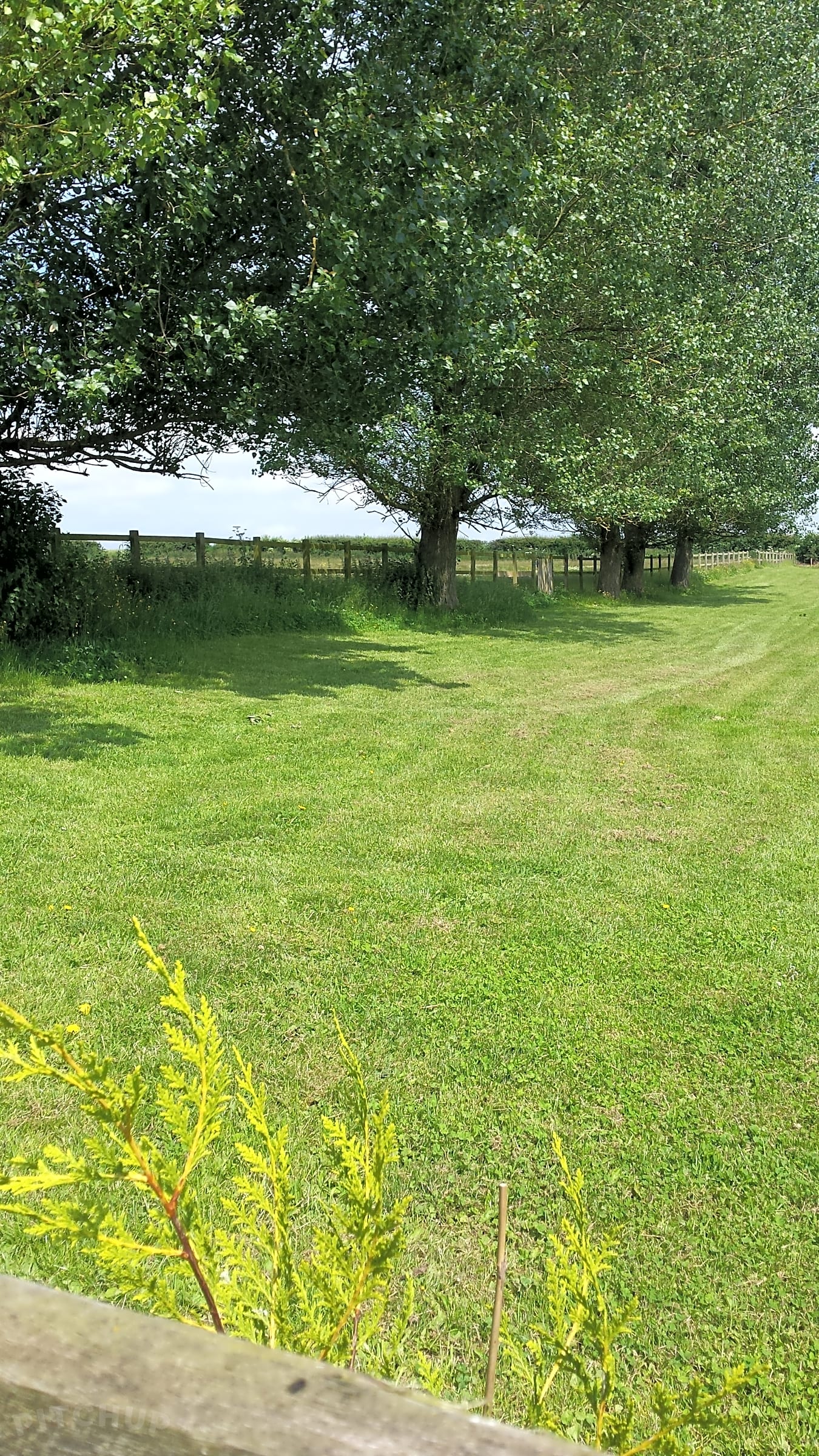 Oak Tree Farm Park, Pickering - Updated 2020 prices - Pitchup®