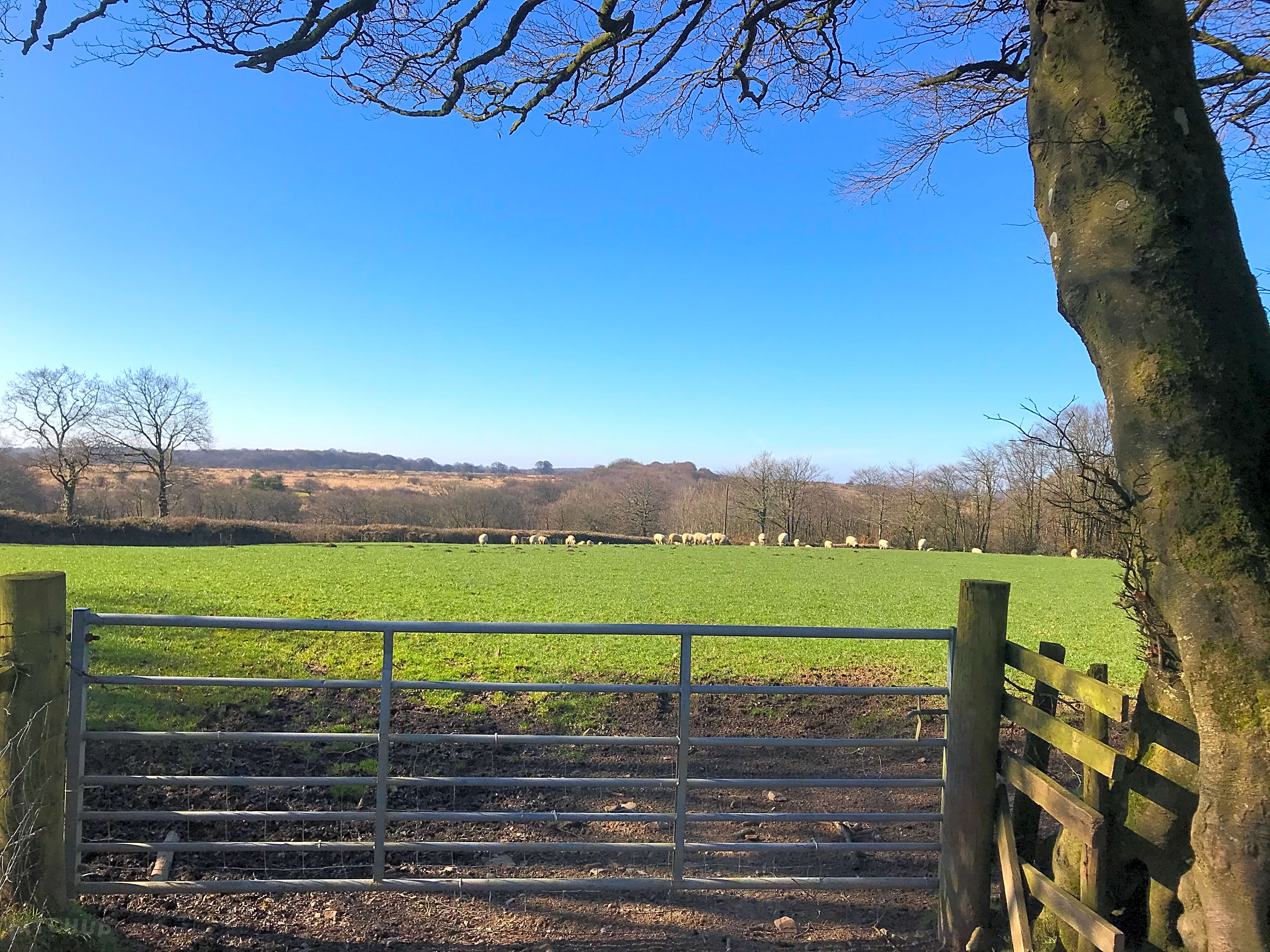 Swineham Farm, Knowstone - Pitchup®