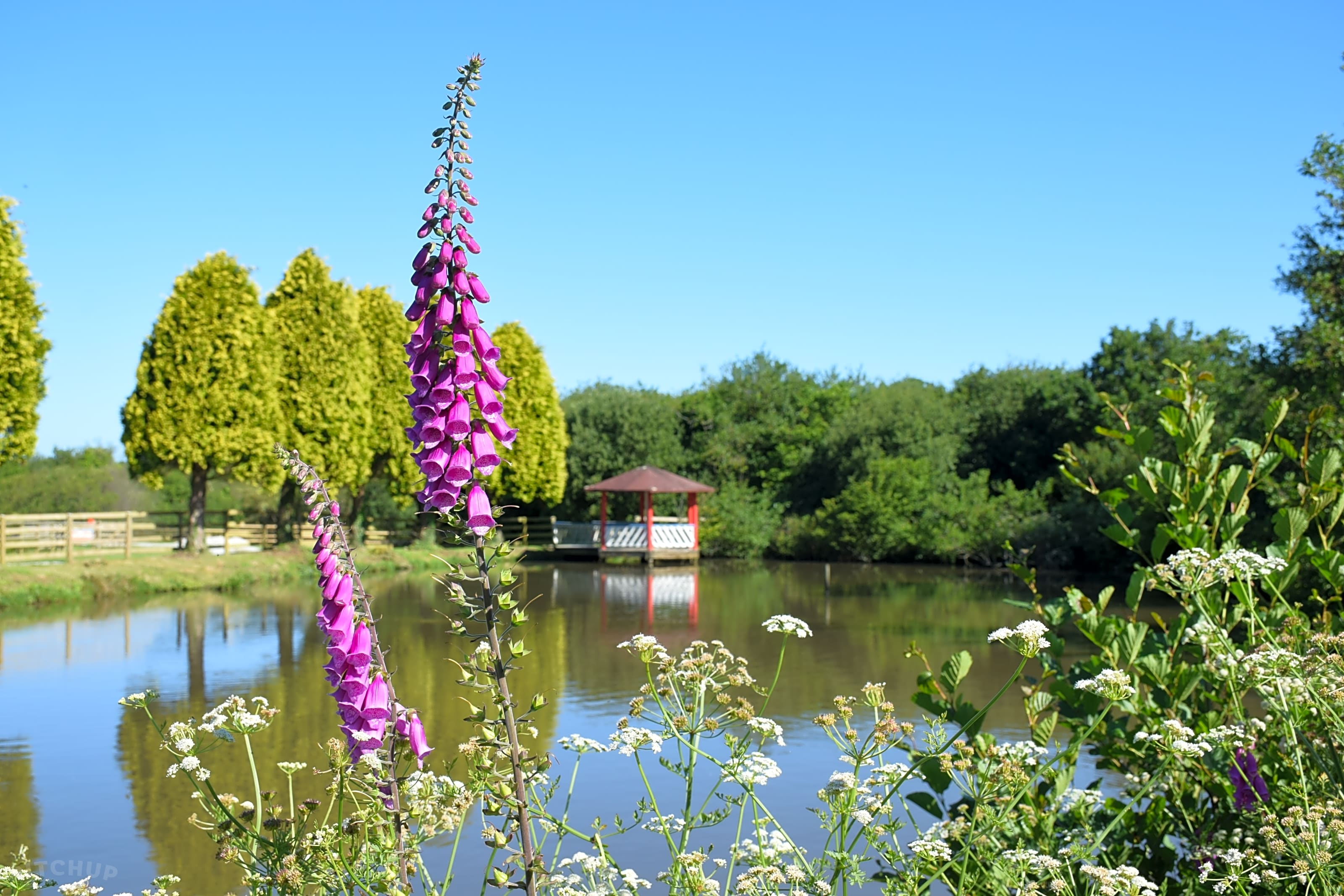 Springfield Fun Park, St Columb Major - Updated 2020 prices - Pitchup®