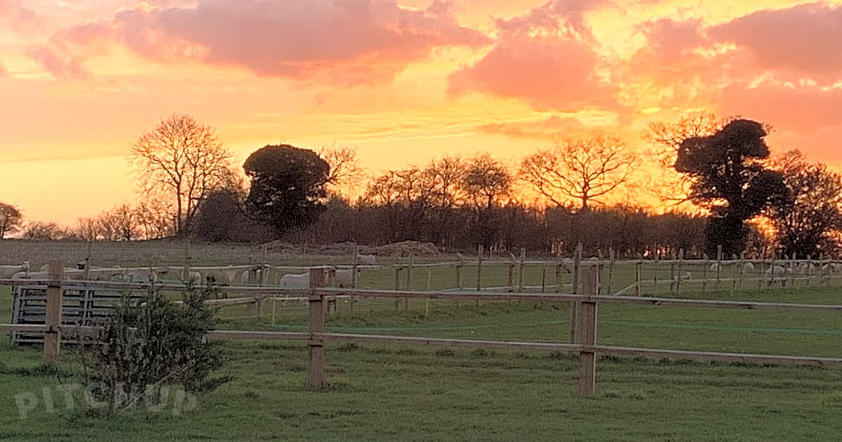 Mill Farm, King's Lynn - Updated 2021 prices - Pitchup®