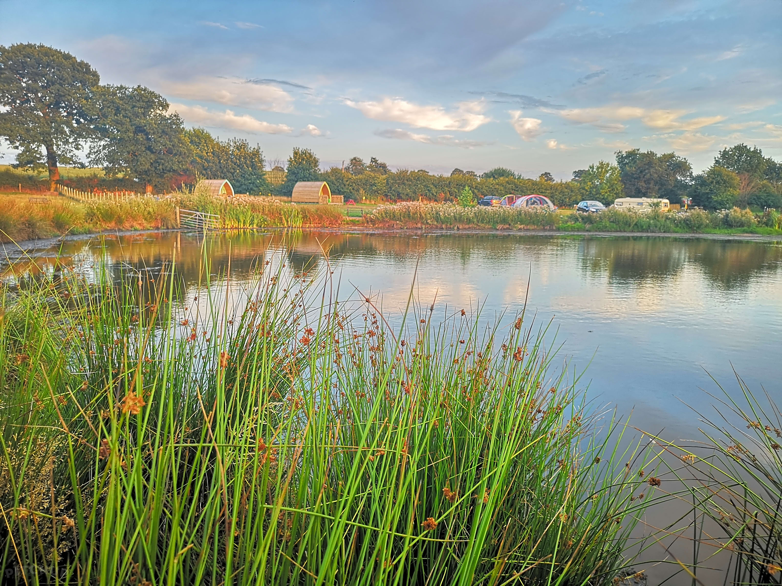 Hadley Park, Whitchurch - Pitchup®