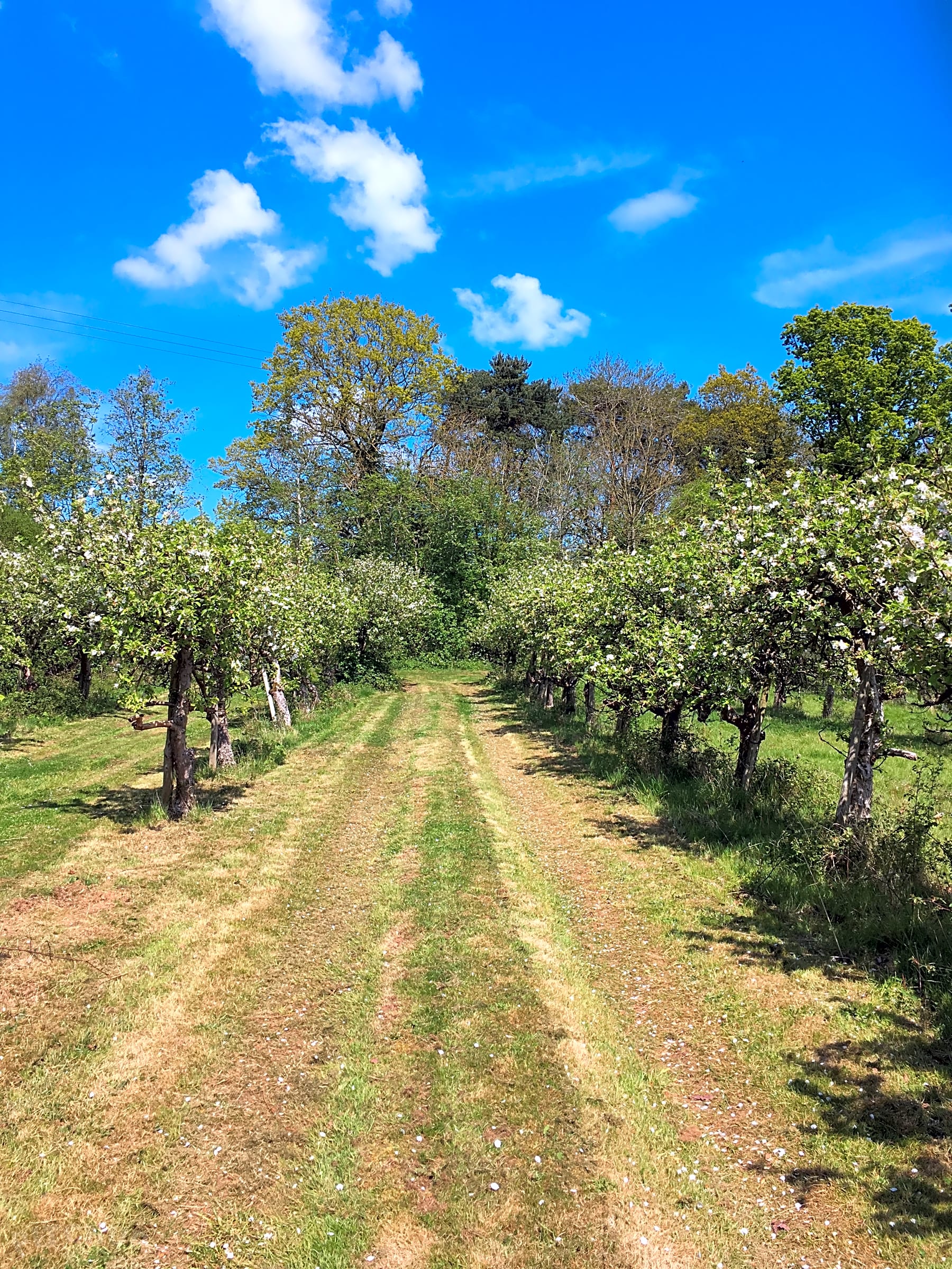 The Apple Farm, Stratford-upon-Avon - Updated 2021 prices - Pitchup®