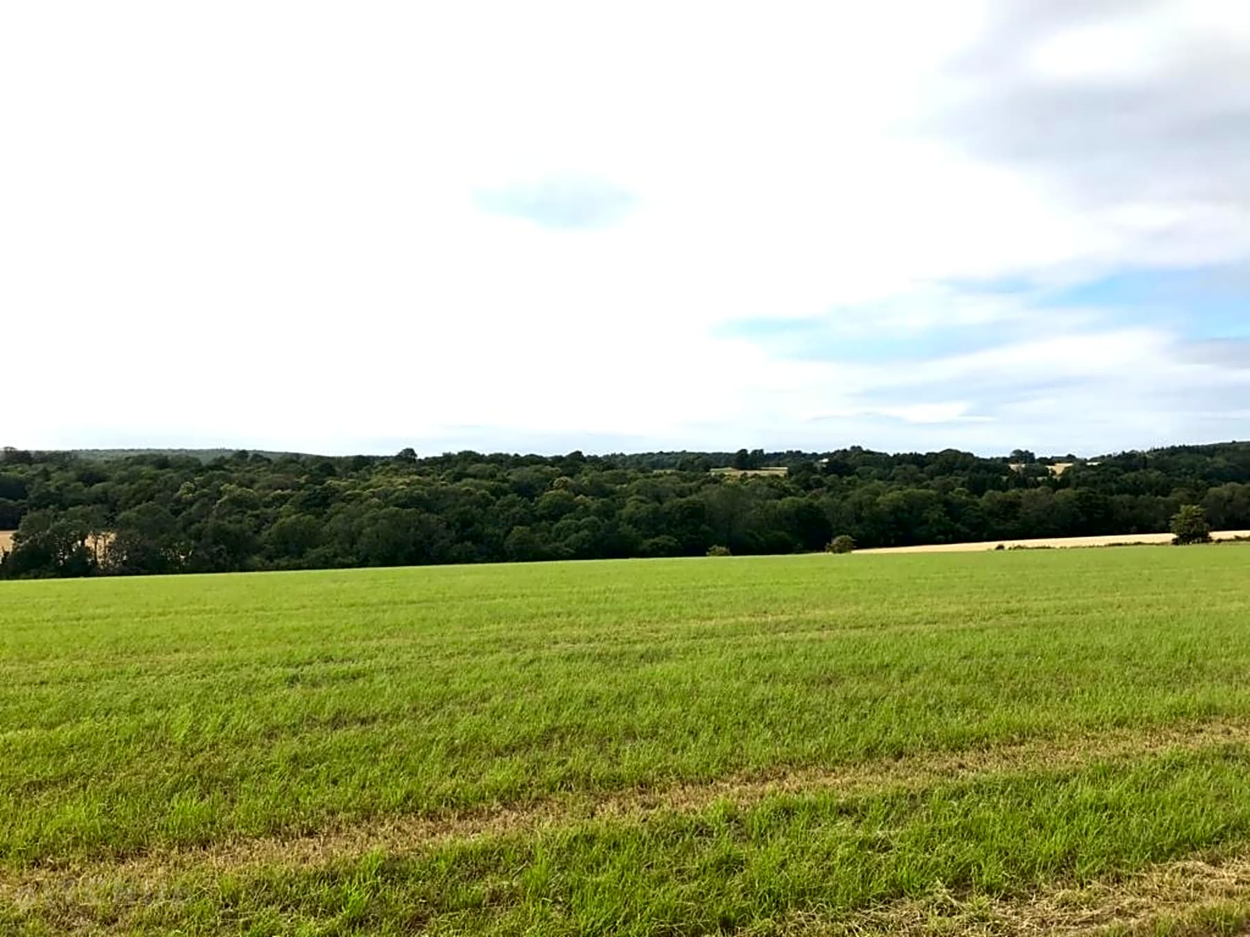 Hundred Acres Camping, Compton - Pitchup®