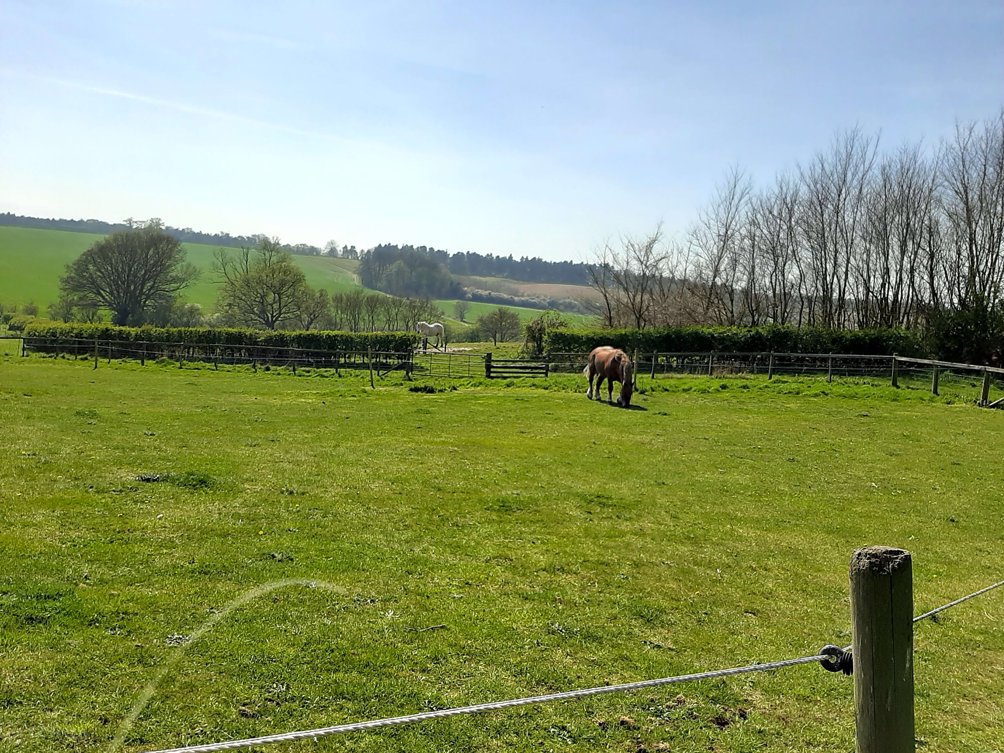 Weylands Farm, Thorington Street - Updated 2020 prices - Pitchup®