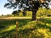 Snelling Farm Campsite, Wareham | Pitchup.com