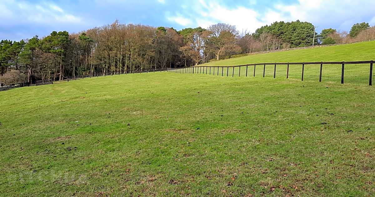 Newton House Farm, Whitby#N# -#N# Updated 2023 prices#N##N##N ...