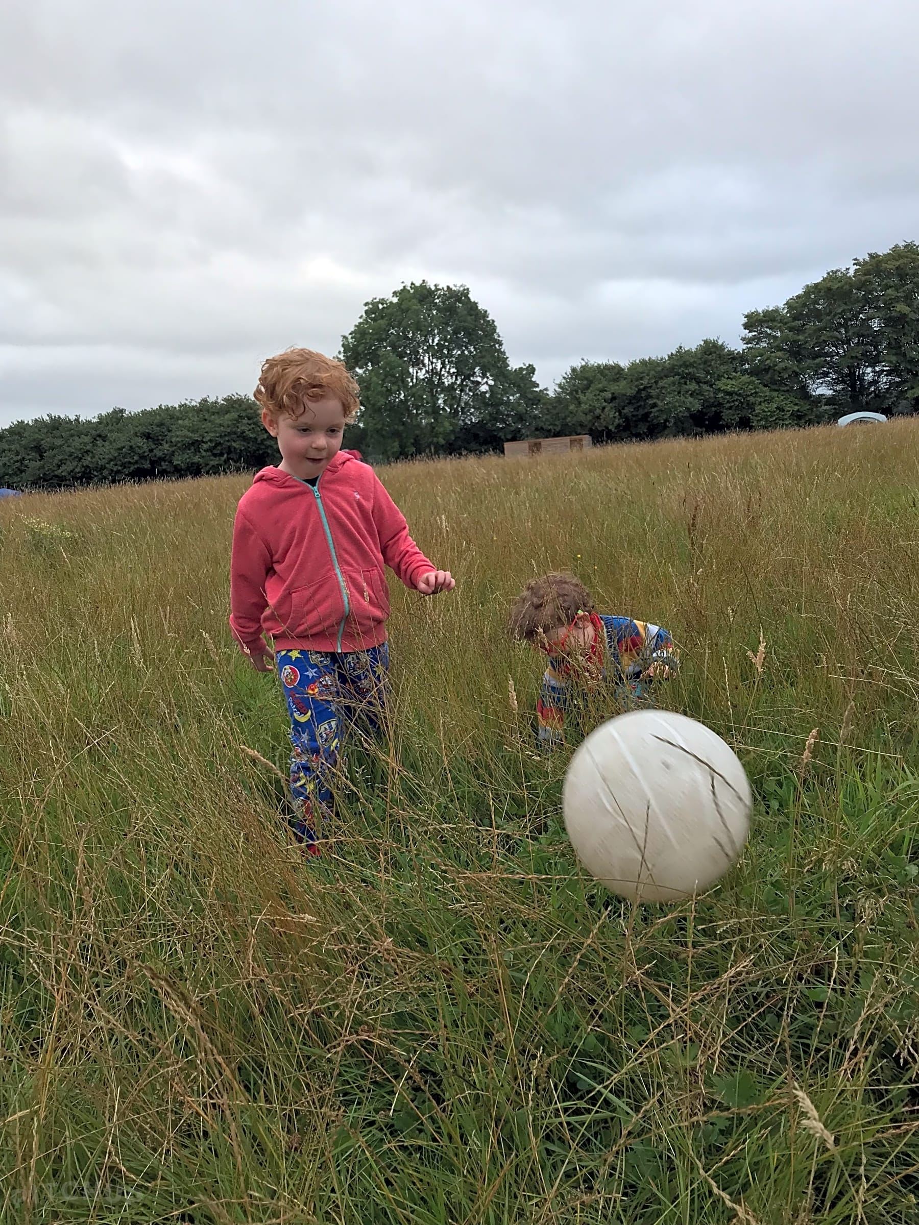 Hale Farm Campsite, Chiddingly - Updated 2020 prices - Pitchup®