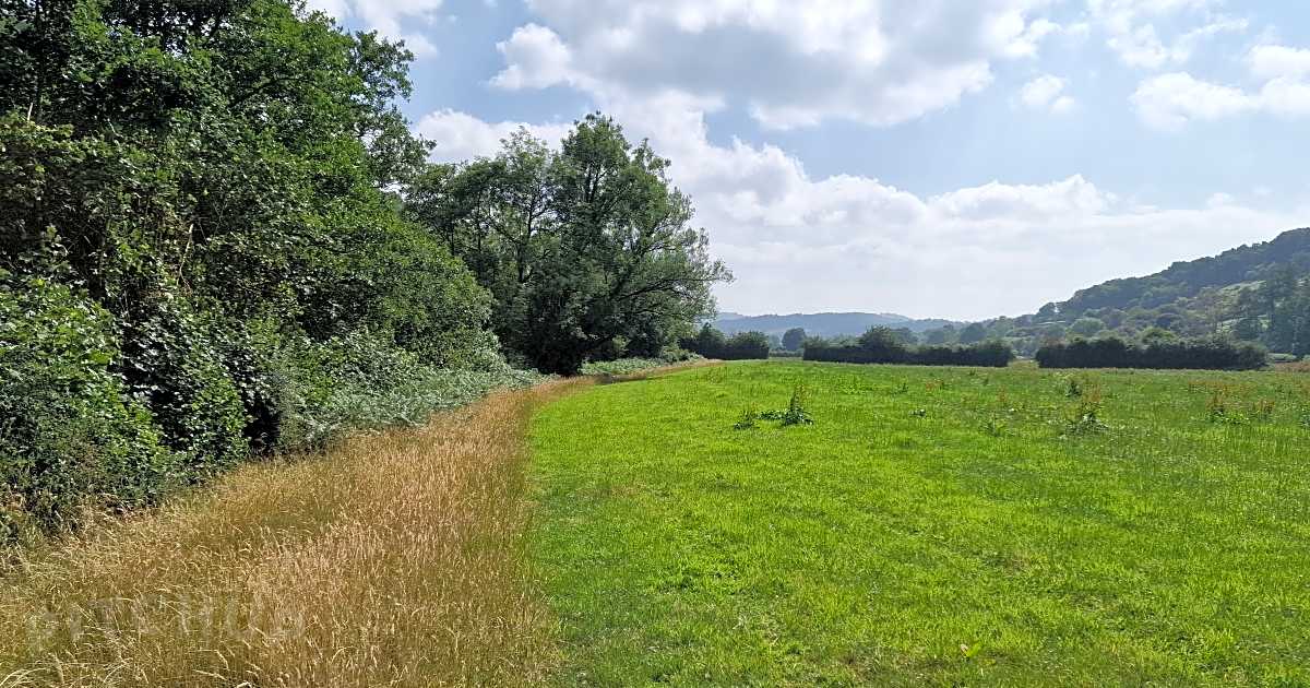 Barton Fields Campsite, Tiverton | Pitchup.com