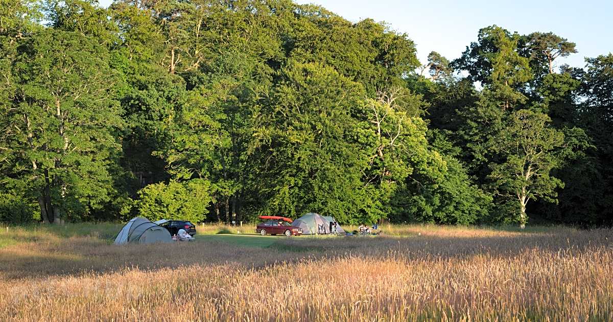 Walkmill Campsite, Walkworth | Pitchup.com