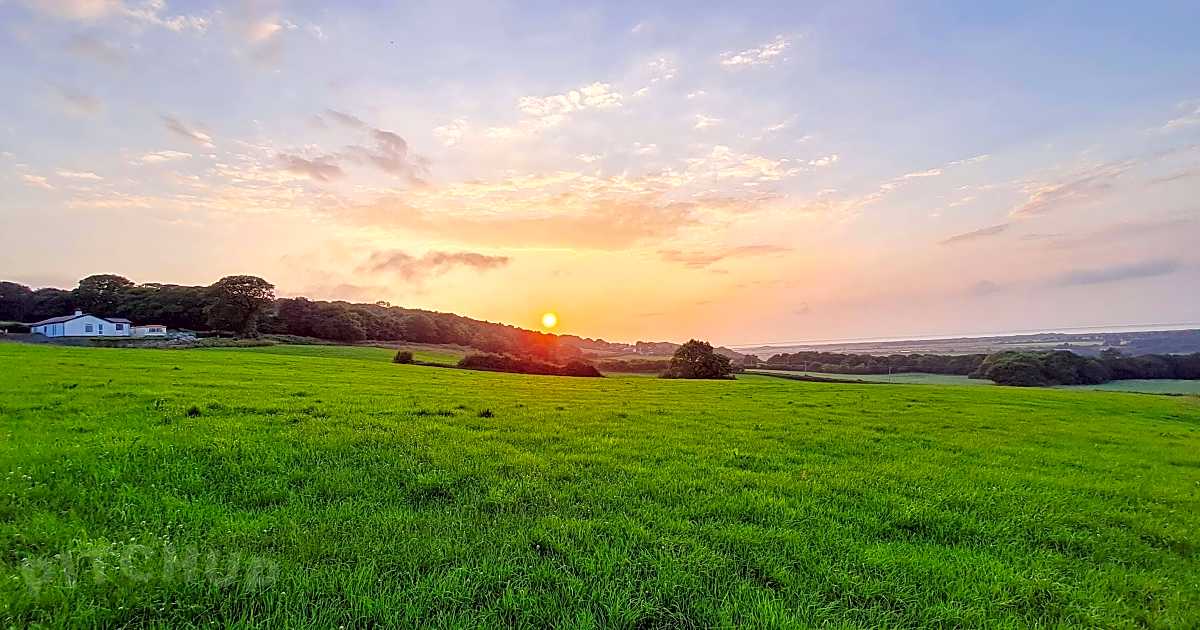 Ynyshir Farm, Holywell | Pitchup.com