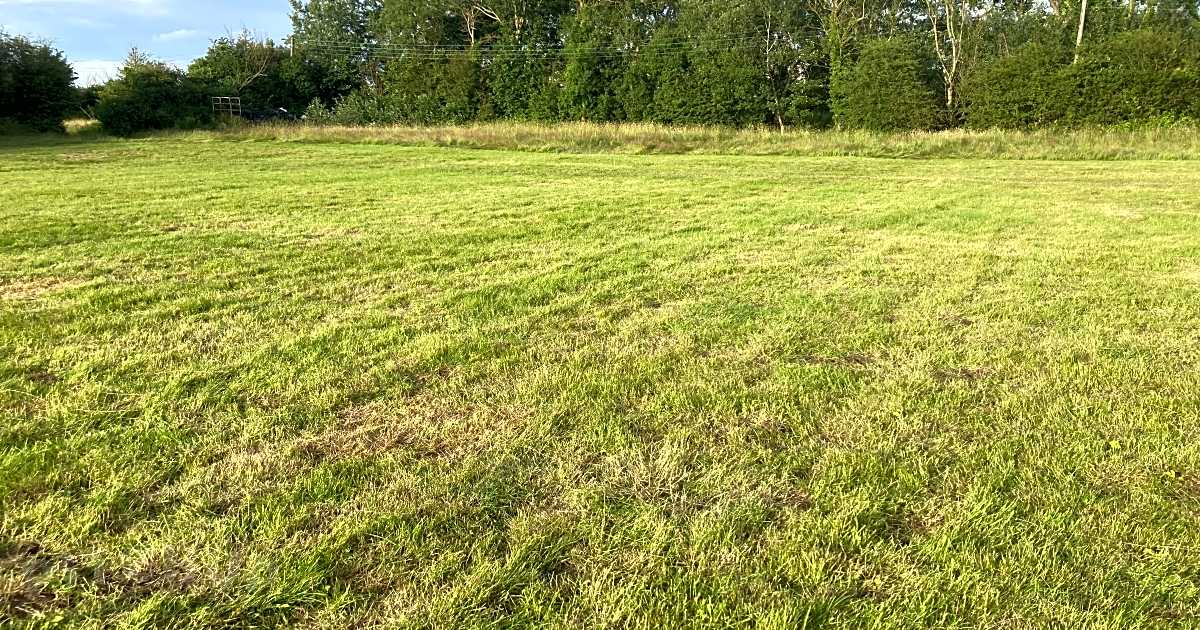 Knoll Farm Glamping and Pop-up Camping, Brent Knoll | Pitchup.com